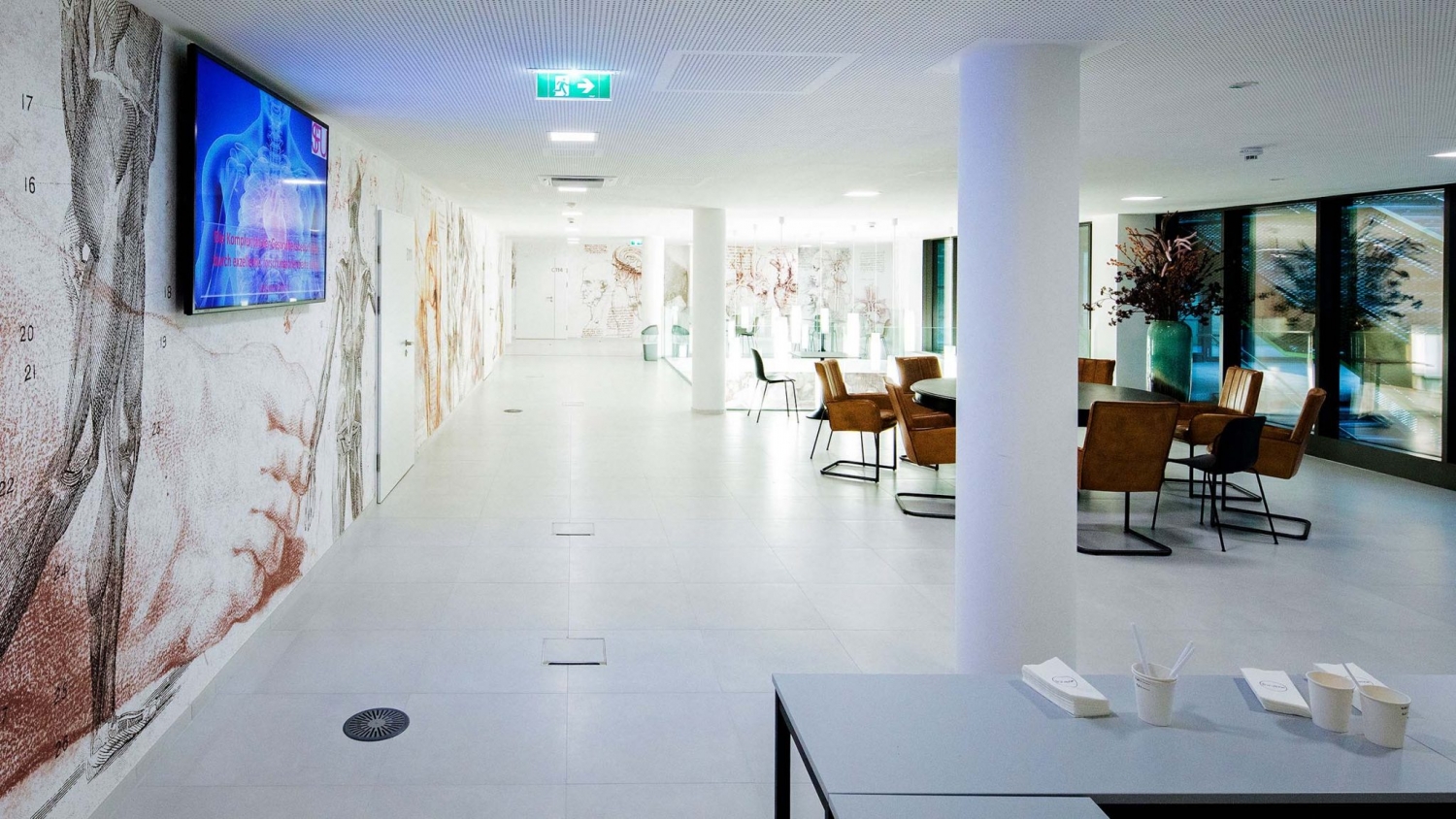 Sigmund Freud University - Masterplan A EinRichtung GmbH